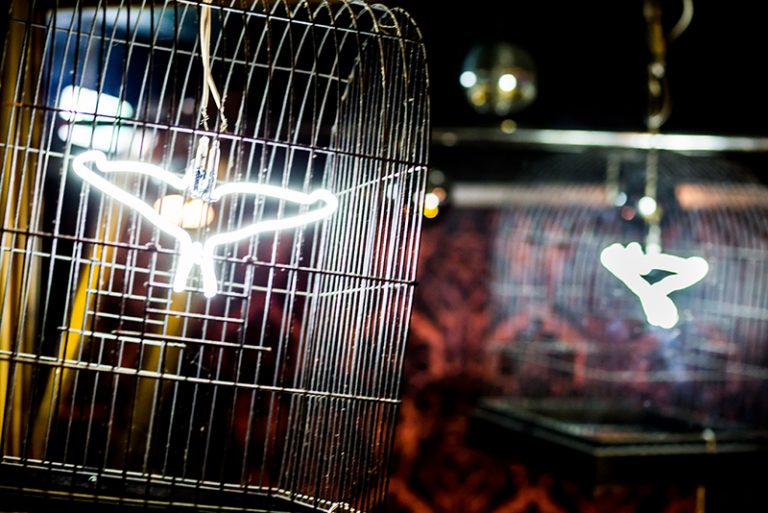 Gallery | Cocktail Bar & Club | The Ladybird Bar Islington