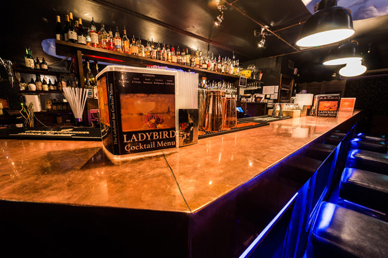 Gallery | Cocktail Bar & Club | The Ladybird Bar Islington